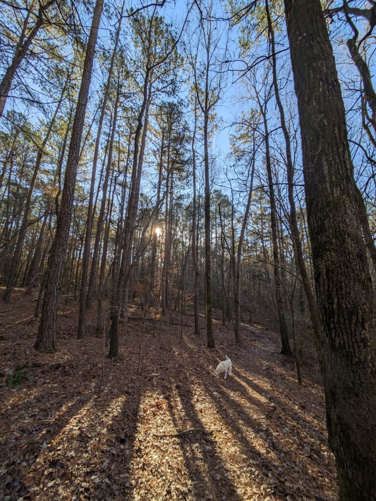 Hiking at Watson Mill Bridge State Park – Kevin Bae