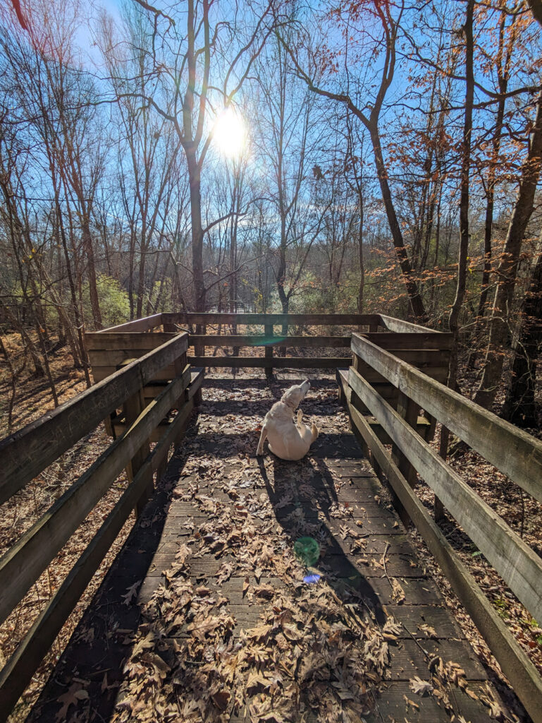 Hiking at Watson Mill Bridge State Park – Kevin Bae